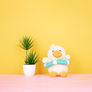 San Valentín | Miniso en Línea