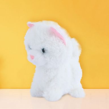 New Arrivals | Miniso en Línea